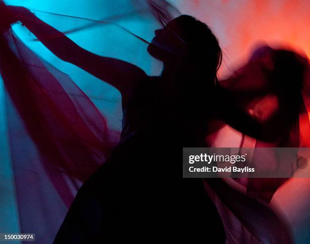 Elegant Woman Hand Up Silhouette Photos And Premium High Res Pictures