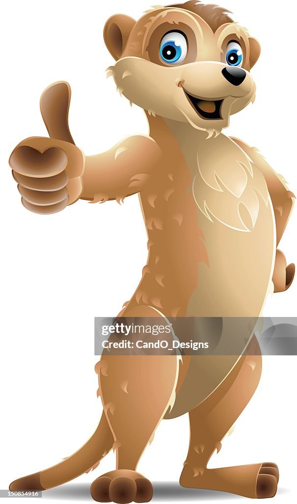 Meerkat Thumbs Up High-Res Vector Graphic - Getty Images Meerkat Thumbs Up High-Res Vector Graphic - Getty Images