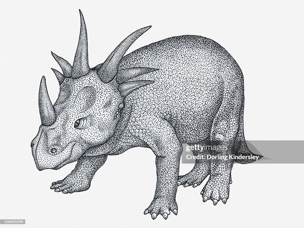 Black And White Illustration Of Ceratopsian Styracosaurus Dinosaur High