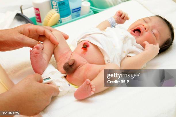Anuses Photos And Premium High Res Pictures Getty Images