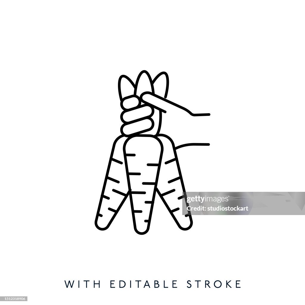 Carrot Line Icon Editable Stroke High-Res Vector Graphic - Getty Images Carrot Line Icon Editable Stroke High-Res Vector Graphic - Getty Images
