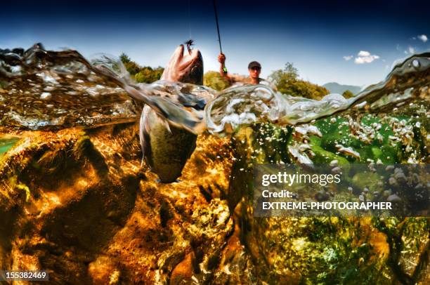 Dead Stream Photos and Premium High Res Pictures - Getty Images Dead Stream Photos and Premium High Res Pictures - Getty Images
