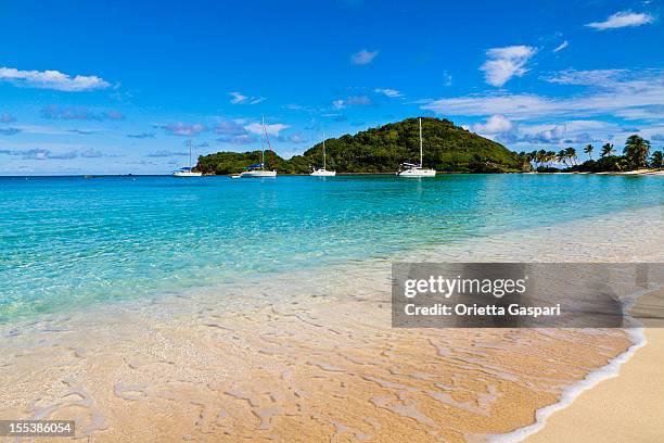 Salt Whistle Bay Mayreau High-Res Stock Photo - Getty Images Salt Whistle Bay Mayreau High-Res Stock Photo - Getty Images