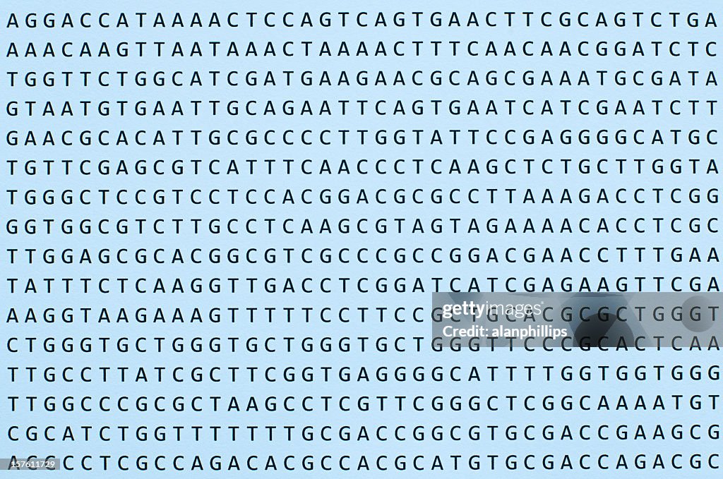 Dna Nucleotide Sequence Printout On Paper Horizontal Orientation High