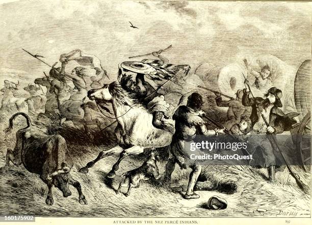 469 Native Americans And Settlers Stock Photos, High-Res Pictures, and ... 469 Native Americans And Settlers Stock Photos, High-Res Pictures, and ...
