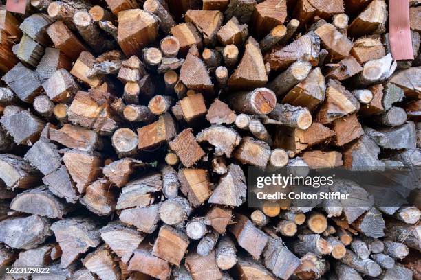 Cut Through Complexity Photos and Premium High Res Pictures - Getty Images Cut Through Complexity Photos and Premium High Res Pictures - Getty Images