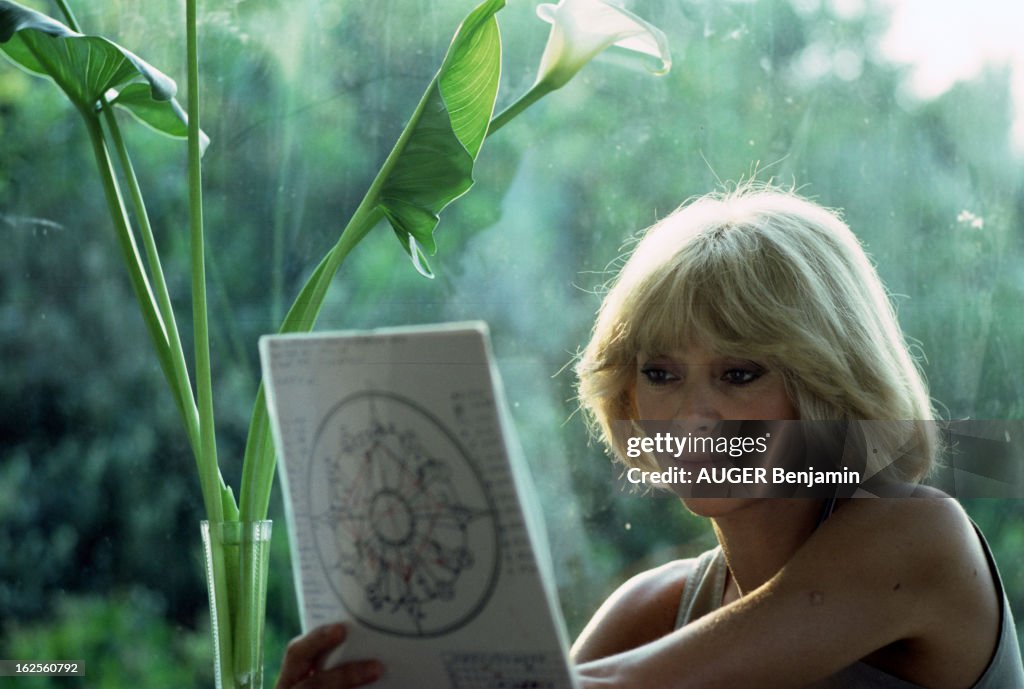 Mireille Darc Poses For Benjamin Auger Mai 1982 Portrait De Nachrichtenfoto Getty Images