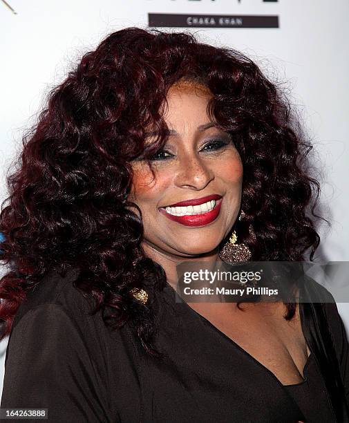 Chaka Khan Celebrates Her 60th Birthday Photos And Premium High Res