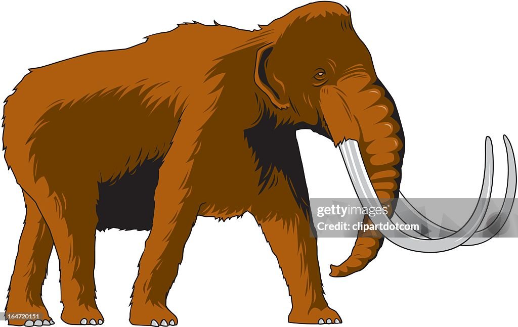 Woolly Mammoth High-Res Vector Graphic - Getty Images Woolly Mammoth High-Res Vector Graphic - Getty Images