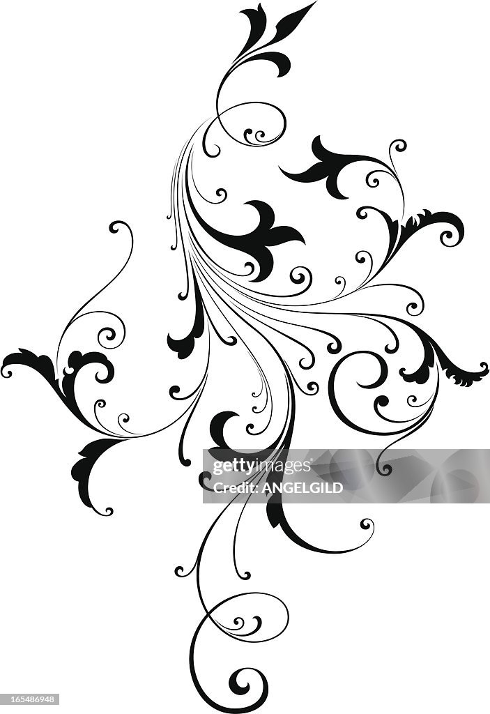 Elegant Scroll Design High-Res Vector Graphic - Getty Images Elegant Scroll Design High-Res Vector Graphic - Getty Images
