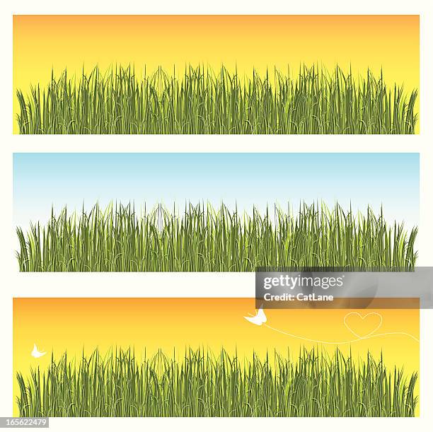 62 3 Framework Vector High Res Illustrations - Getty Images 62 3 Framework Vector High Res Illustrations - Getty Images