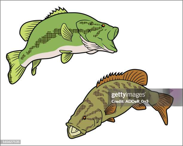 Smallmouth Bass Photos And Premium High Res Pictures Getty Images