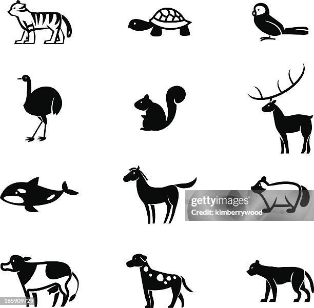 Animal Icon Set High-Res Vector Graphic - Getty Images Animal Icon Set High-Res Vector Graphic - Getty Images