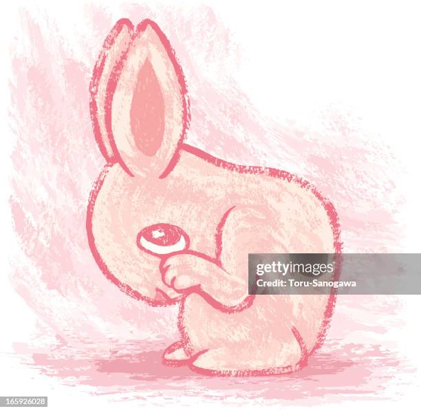 Shy Bunny Photos And Premium High Res Pictures Getty Images