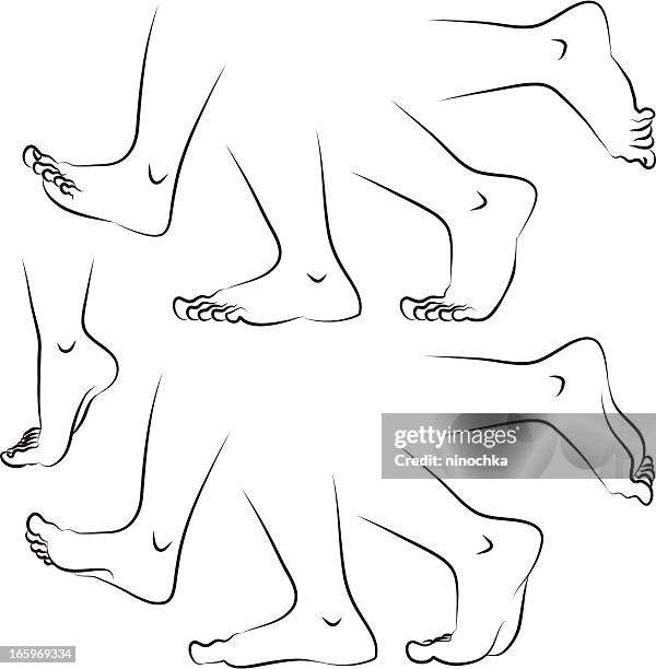 Fases De Imagen Fotografías E Imágenes De Stock Getty Images