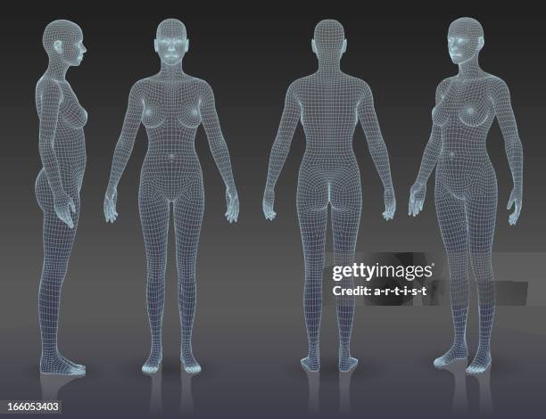 Woman Human 3d Model Reference