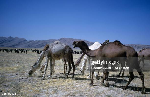 Paysage Aride Photos and Premium High Res Pictures - Getty Images Paysage Aride Photos and Premium High Res Pictures - Getty Images