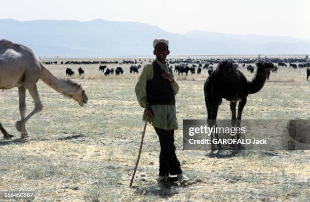 Paysage Aride Photos and Premium High Res Pictures - Getty Images Paysage Aride Photos and Premium High Res Pictures - Getty Images