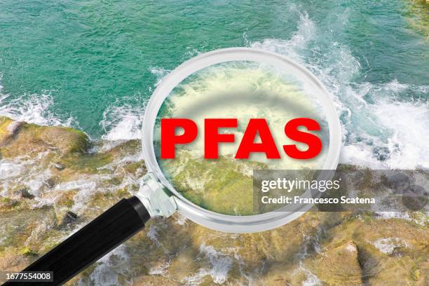 Case Study: Successful PFAS Mitigation in Florida's Coastal Areas