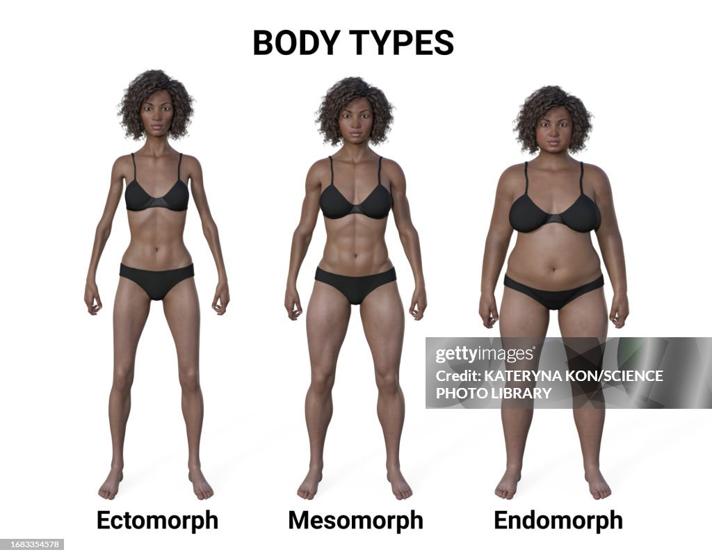 Female Body Types Illustration High-Res Vector Graphic - Getty Images Female Body Types Illustration High-Res Vector Graphic - Getty Images