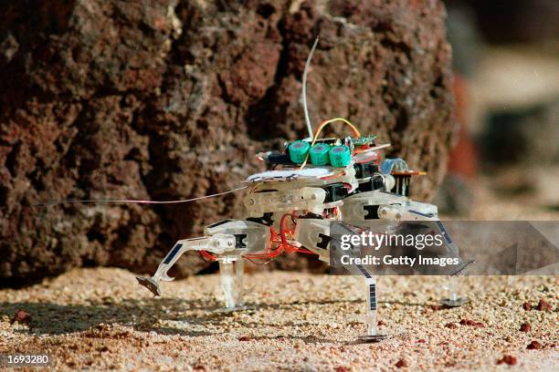 Robot Spiders Photos and Premium High Res Pictures - Getty Images Robot Spiders Photos and Premium High Res Pictures - Getty Images