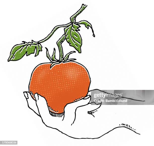 Hand Picking Fruit High Res Illustrations Getty Images