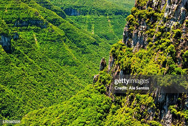 Fortaleza Canyon Photos and Premium High Res Pictures - Getty Images Fortaleza Canyon Photos and Premium High Res Pictures - Getty Images