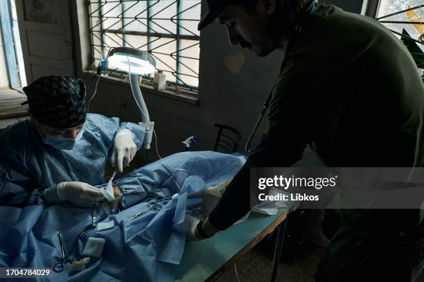 Cat Castration Photos And Premium High Res Pictures Getty Images