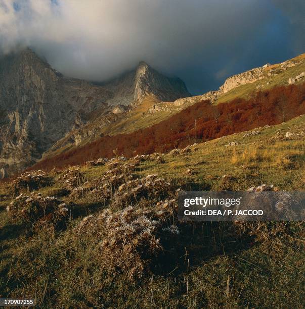 Gran Sasso And Monti Della Laga National Park Photos And Premium High