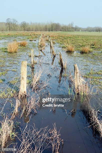 Bonheiden Photos and Premium High Res Pictures - Getty Images Bonheiden Photos and Premium High Res Pictures - Getty Images