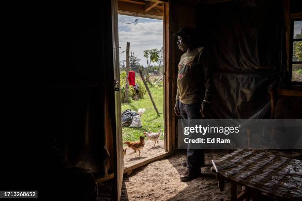Ed Porter Photos and Premium High Res Pictures - Getty Images Ed Porter Photos and Premium High Res Pictures - Getty Images