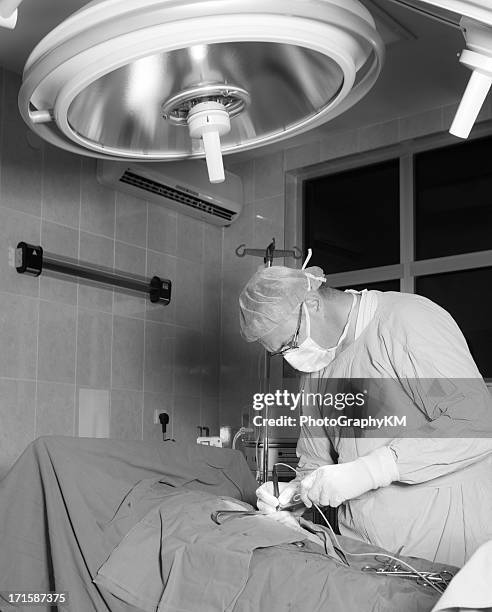 Groin Protector Photos And Premium High Res Pictures Getty Images