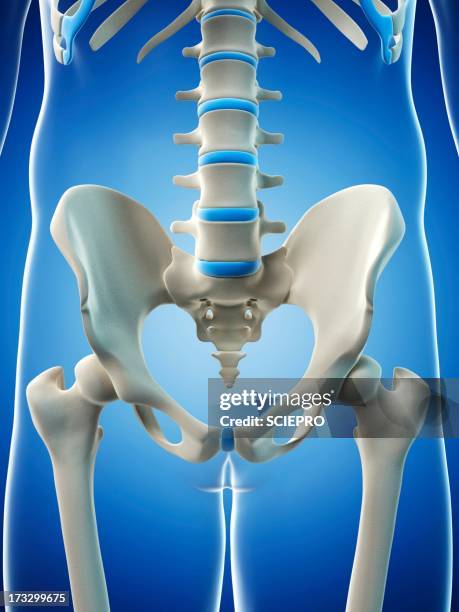 Female Hip Bone Photos And Premium High Res Pictures Getty Images