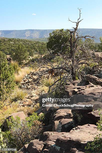 The Environmental Impact of Land Use Decisions on Native American Lands