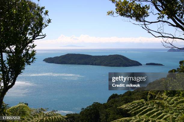 The Ultimate Guide to Stress Management with Hypnosis in New Zealand