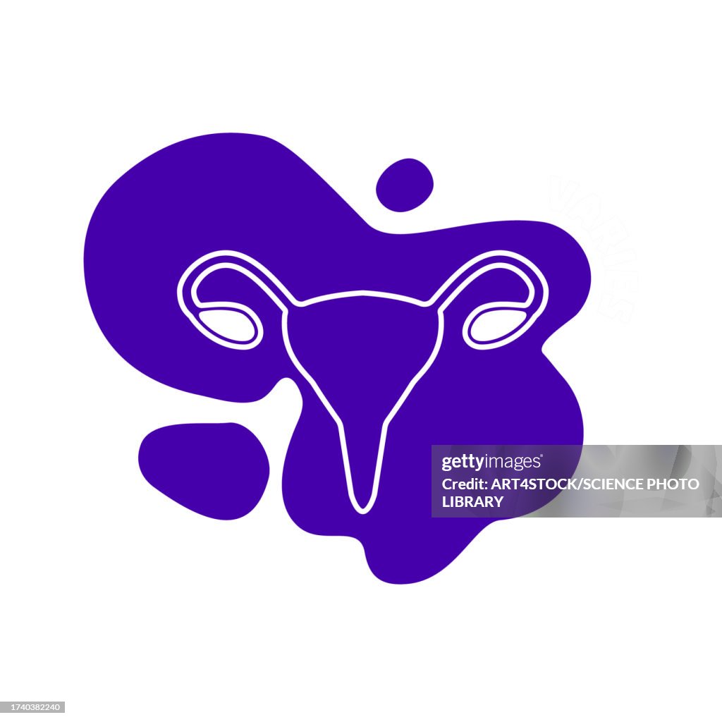 Female Reproductive System Illustration High Res Vector Graphic Getty