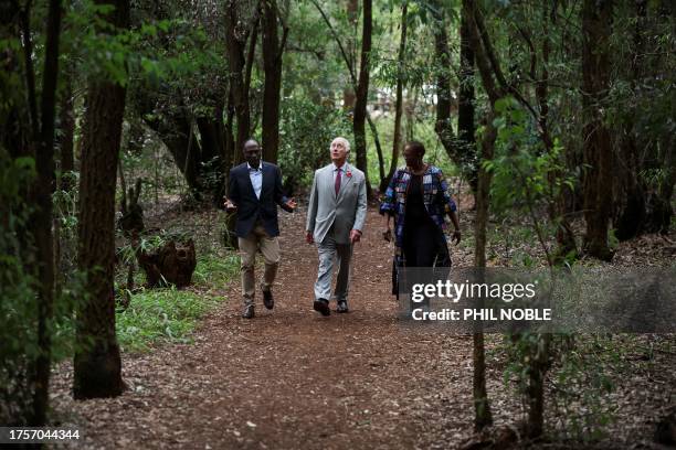 Wangari Maathai Photos and Premium High Res Pictures - Getty Images Wangari Maathai Photos and Premium High Res Pictures - Getty Images