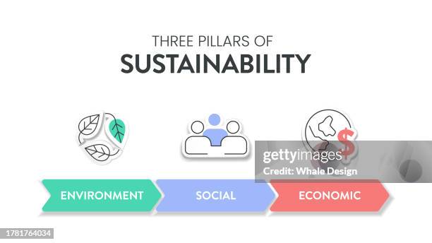 Three Pillars of Sustainable Development framework diagram chart ...