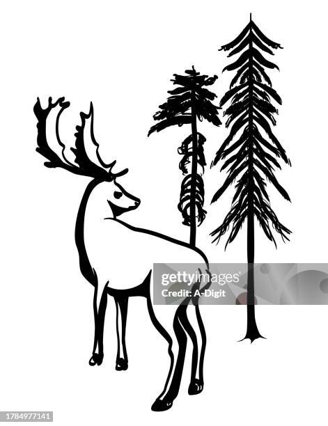 134 Deer Buck Clip Art High Res Illustrations Getty Images
