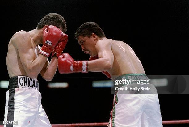 Genaro Hernandez Photos And Premium High Res Pictures Getty Images