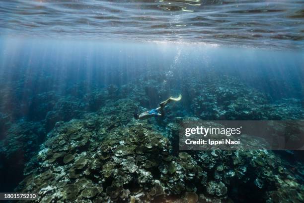 See Through Bathing Suit Photos And Premium High Res Pictures Getty