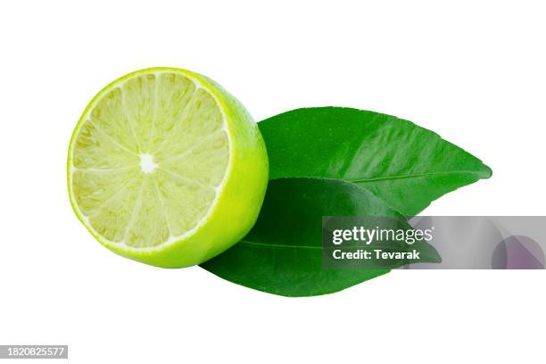 Lime with slices half and leaves isolated on white 이미지 (1820825577 ...
