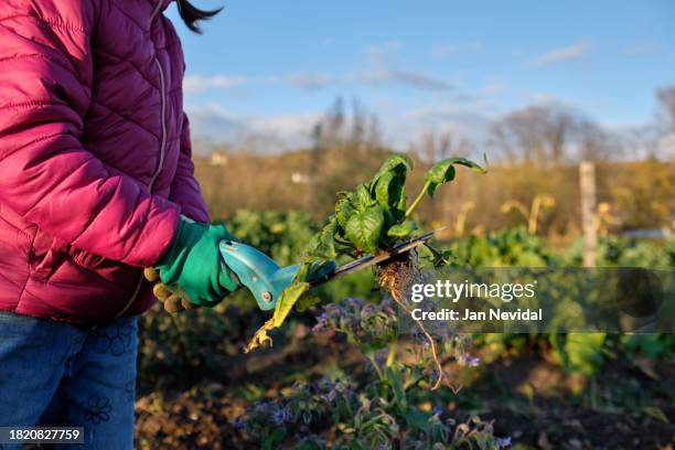 Czech Agriculture Photos And Premium High Res Pictures Getty Images