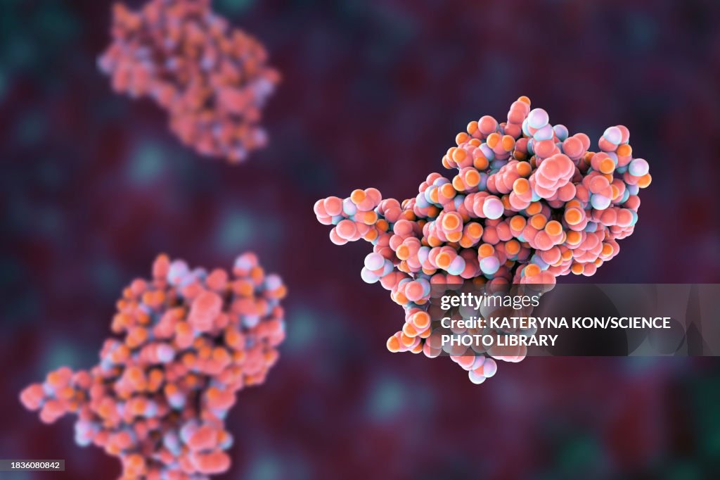Human Growth Hormone Molecule Illustration High Res Vector Graphic Getty Images