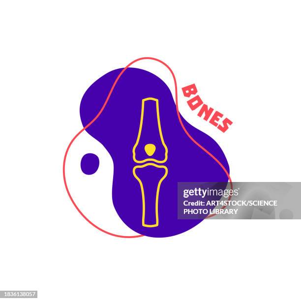 Bones Conceptual Illustration High Res Vector Graphic Getty Images