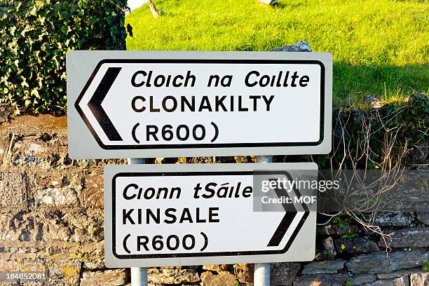 How to Find the Perfect Flatmate in Ireland: Tips and Tricks