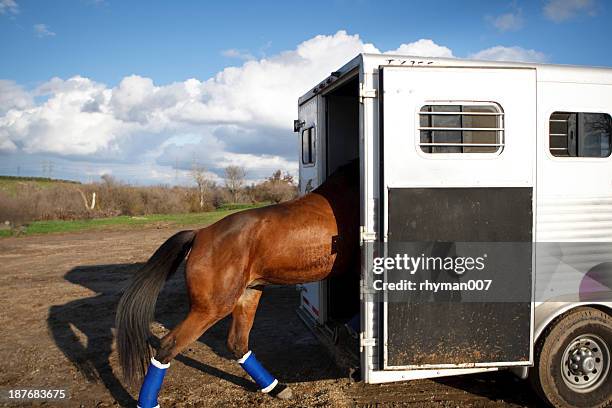 Debunking Myths About Equine Waste Disposal