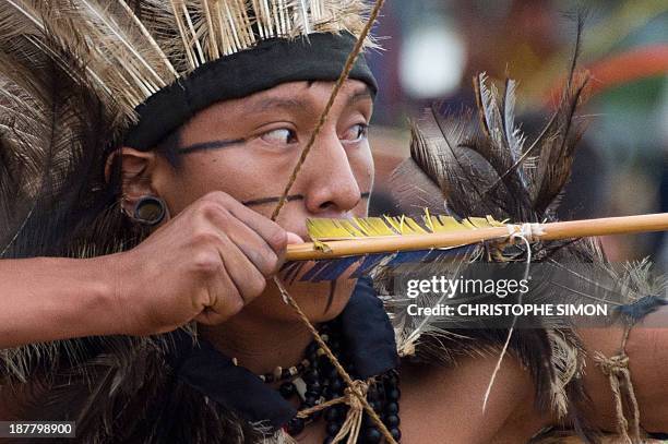 Brazilian Terena Photos And Premium High Res Pictures Getty Images
