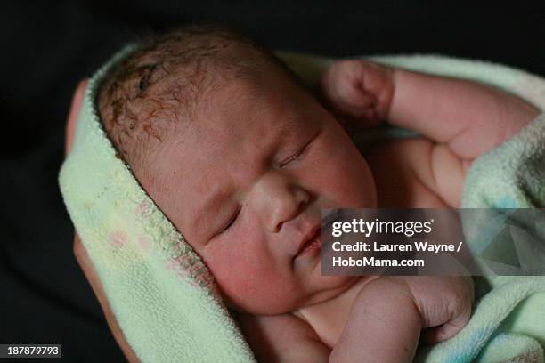 48 All Tuckered Out Stock Photos, High-Res Pictures, and Images - Getty ... 48 All Tuckered Out Stock Photos, High-Res Pictures, and Images - Getty ...