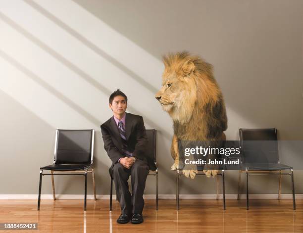 964 Lion Waiting Stock Photos, High-Res Pictures, and Images - Getty Images 964 Lion Waiting Stock Photos, High-Res Pictures, and Images - Getty Images